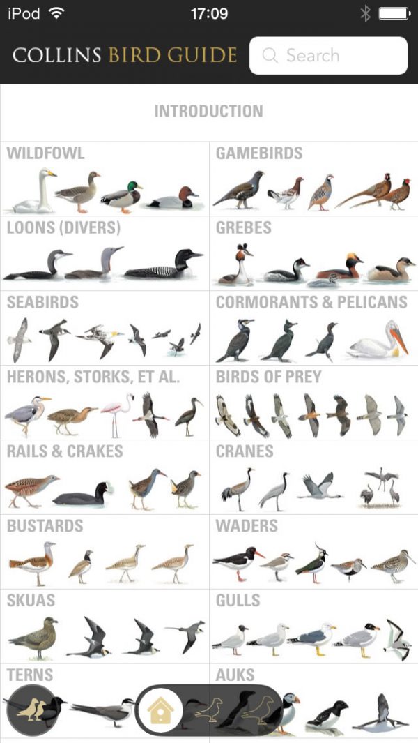 11 things to take wildlife watching | Holiday Scottish Highlands & Islands