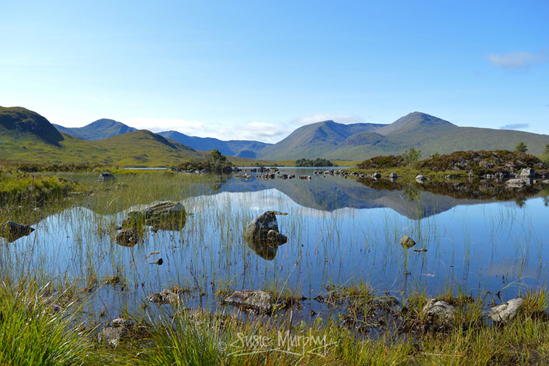 Local tips: Things to do on Skye, Mallaig & more - Susie Murphy, artist ...