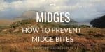 Best midge repellent Scotland UK 2025 | Best midge net | Stop itching