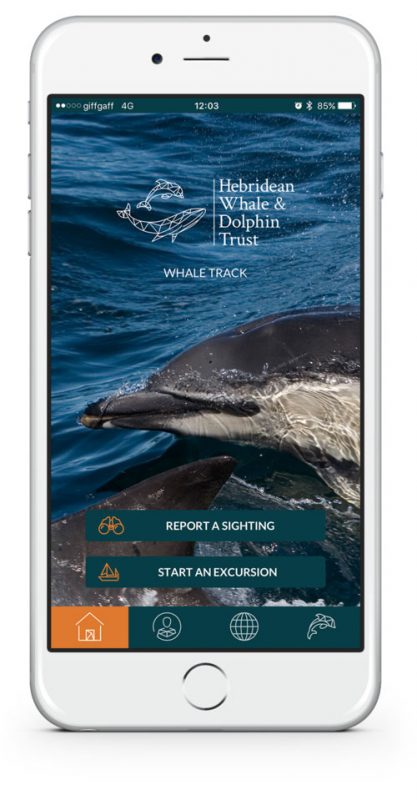 Whale Track whale and dolphin sightings app and website | Holiday ...
